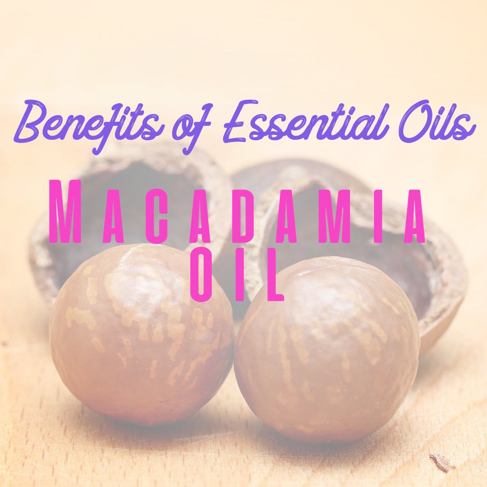 Benefits of Essential Oils - Macadamia Oil – Note Cosmetics Singapore